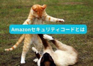 amazonセキュリティコードとは？設定法とアカウントを守る秘策 ｜ パソコン1台の仕事を提案する「シュアーズ」